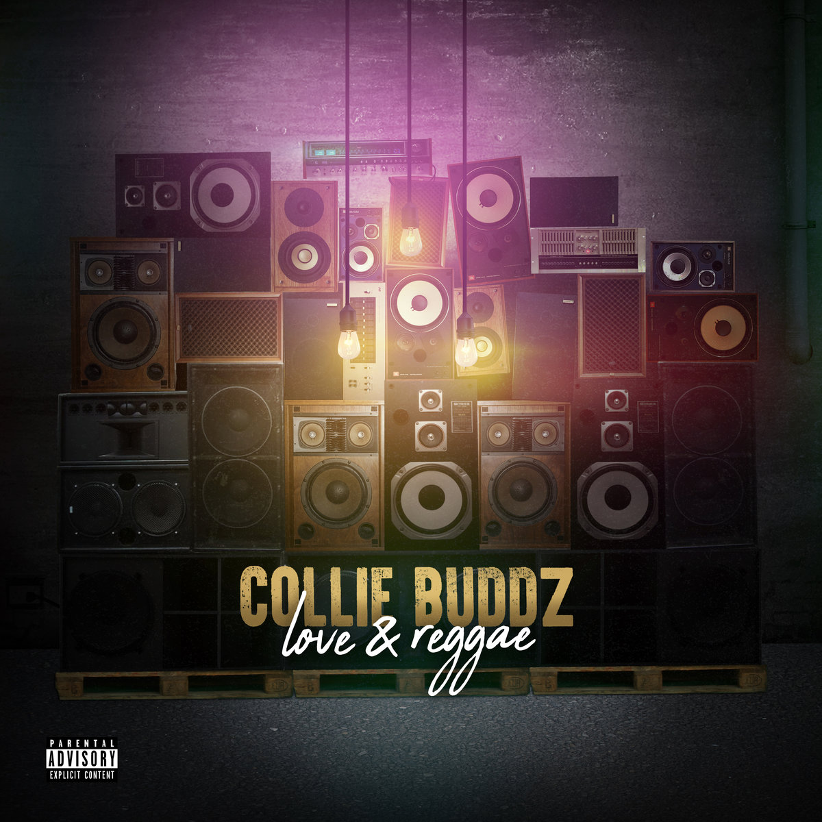 Collie Buddz shares the groove with “Love & Reggae” – Aipate