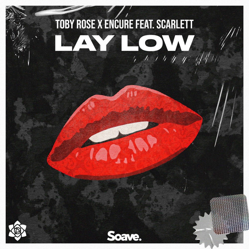 Toby Rose, Encure and Scarlett deliver new banger, “Lay Low” – Aipate