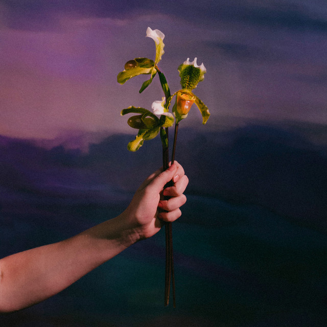 Alice Auer shares new song, “Greek Street” – Aipate